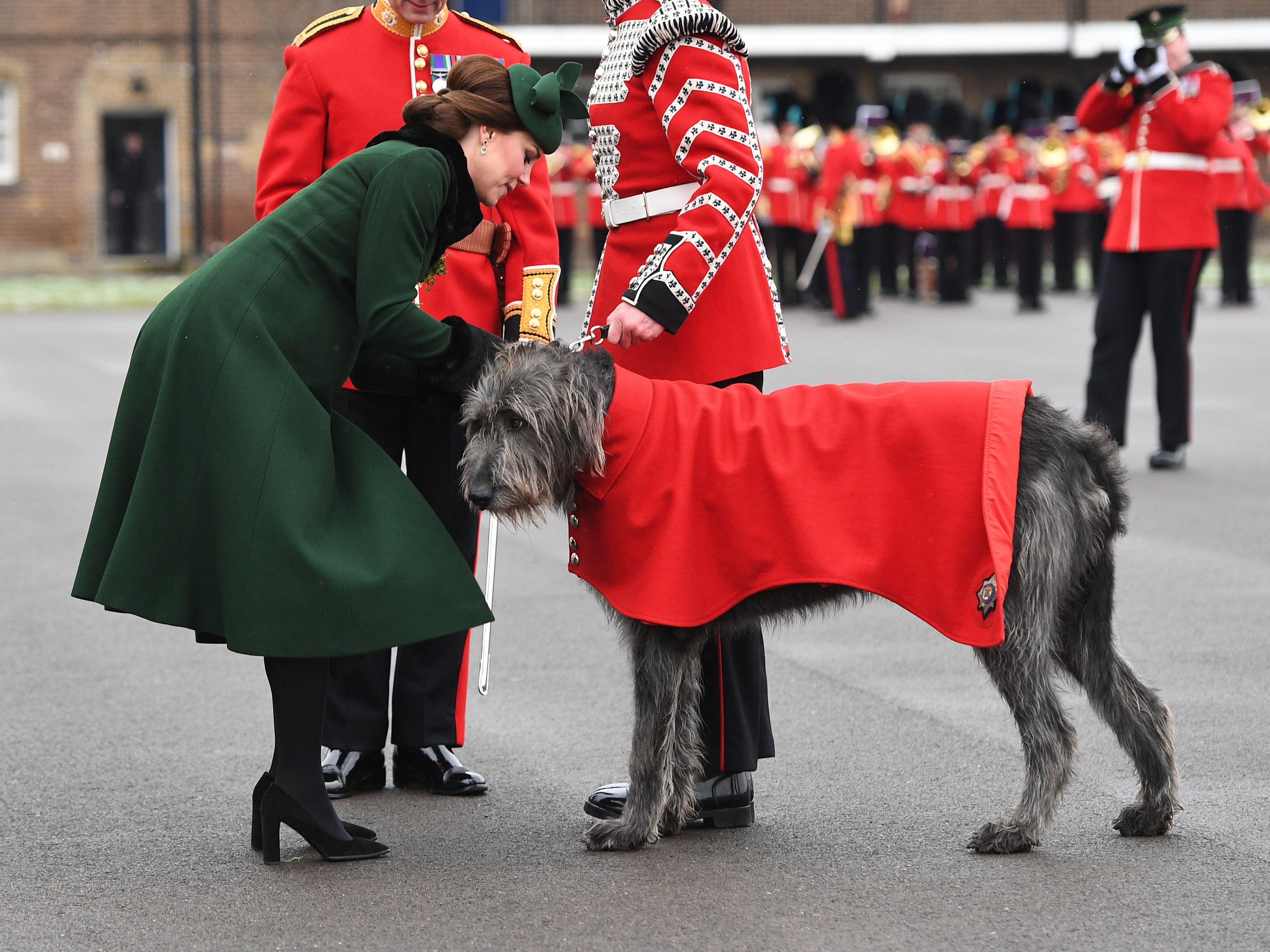 Kate to mark St Patrick's Day celebrations with Irish Guards in London