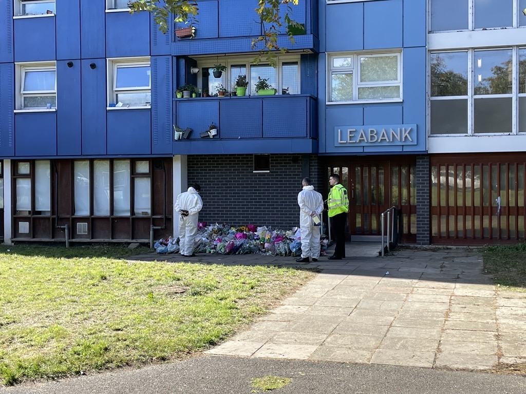 Luton teenager to face sentence for murdering his mother and two ...
