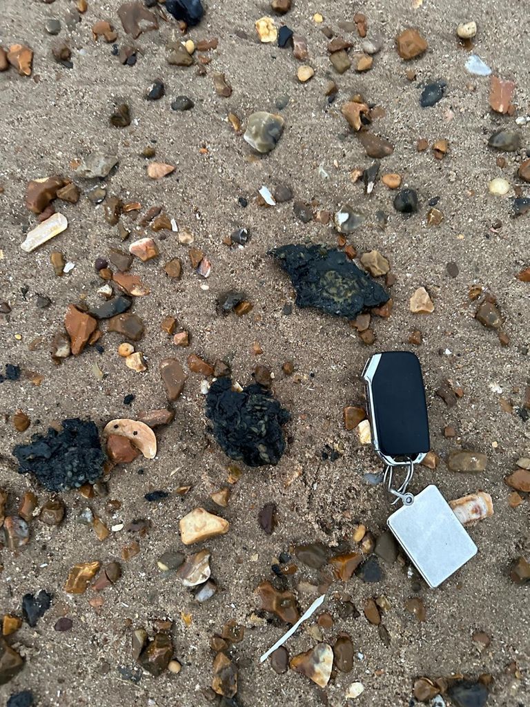 Concerns for wildlife following a collision between a tanker and a ...