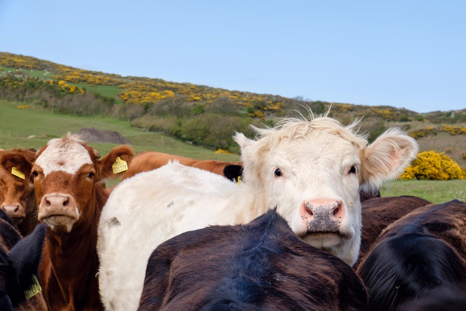 Defra figures show falling incomes for farms | News - Greatest Hits ...