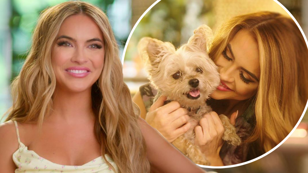 Selling Sunset star Chrishell Stause's beloved dog Gracie has died