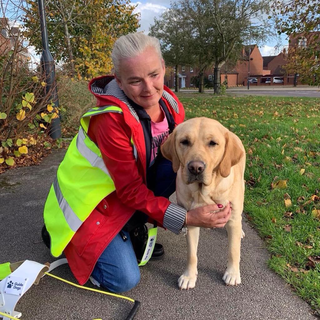 "It's a nightmare for people like me." Bin strikes making it difficult ...