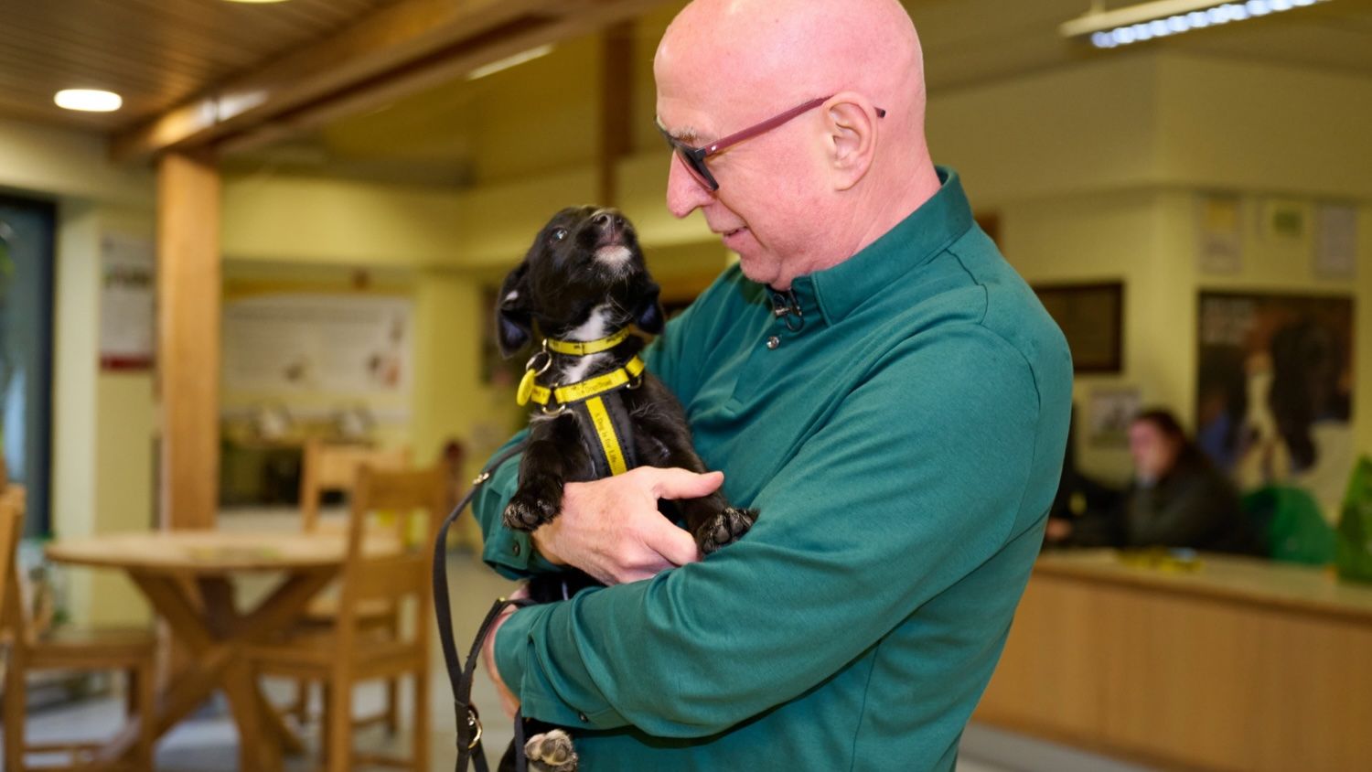 Ken Bruce's Underdogs with Dogs Trust
