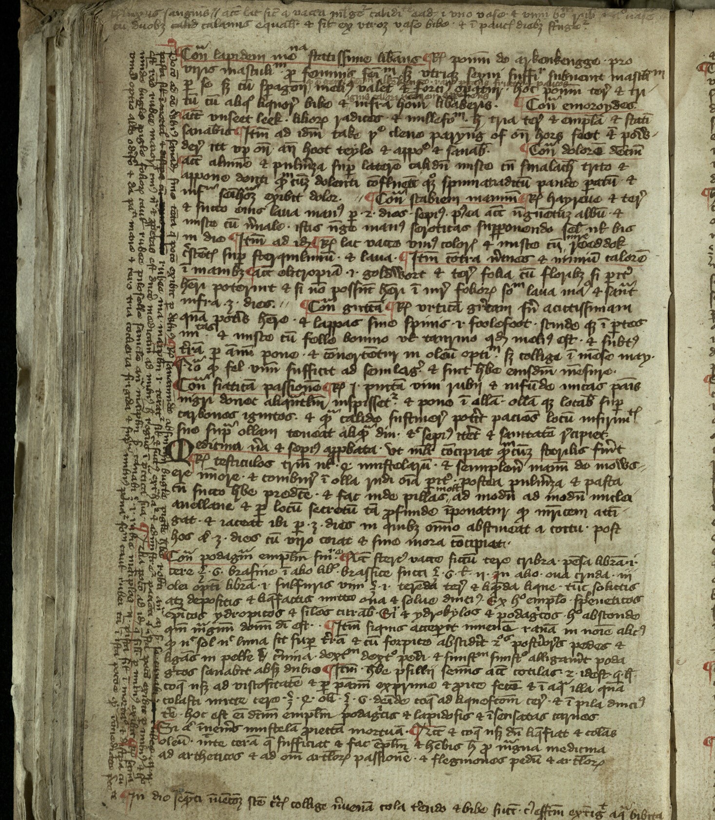 Weasel testicles form part of new Cambridge exhibition