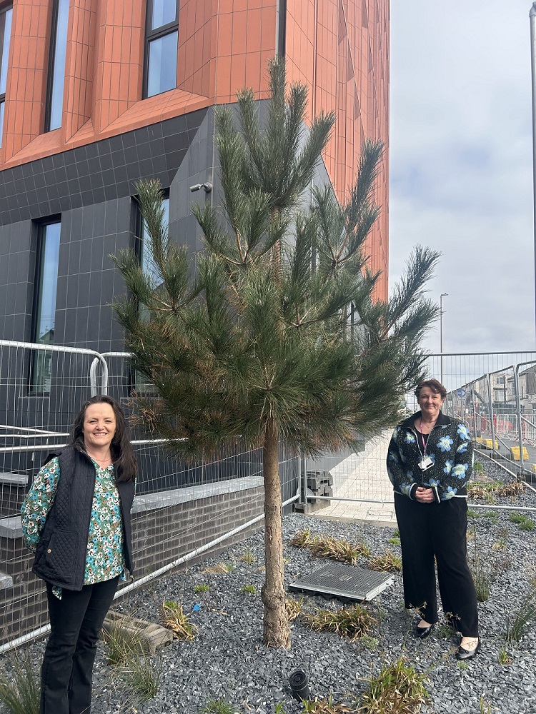 £2m-worth of trees to be planted across Blackpool to improve flood ...