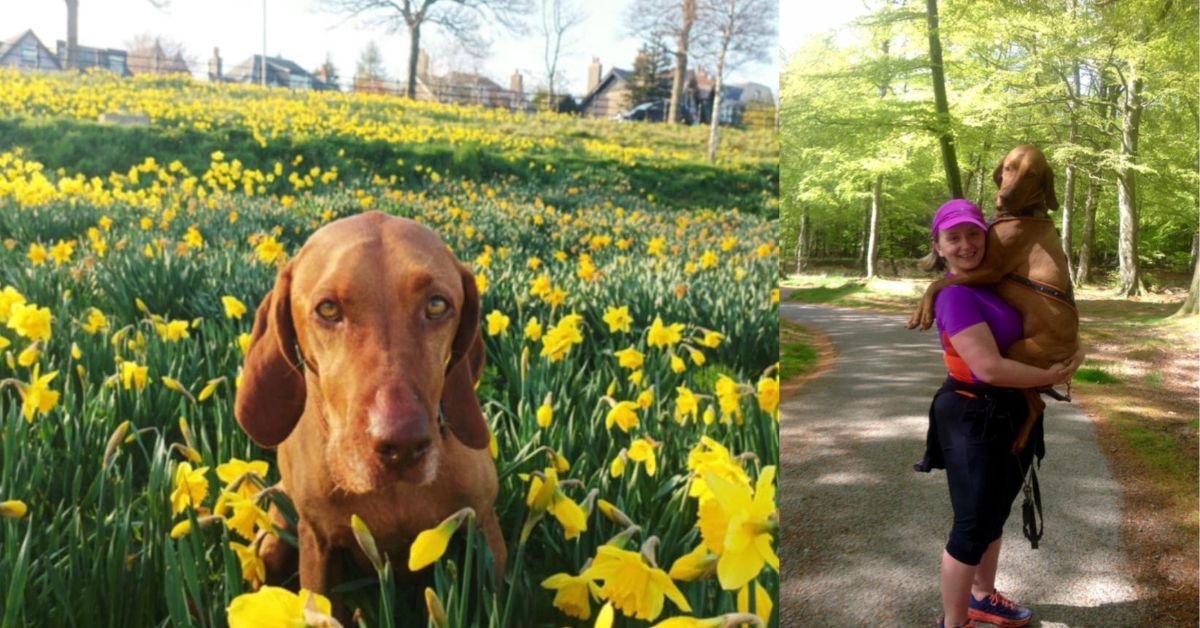 Aberdeen dog owner issues warning after dog dies from swallowing ...