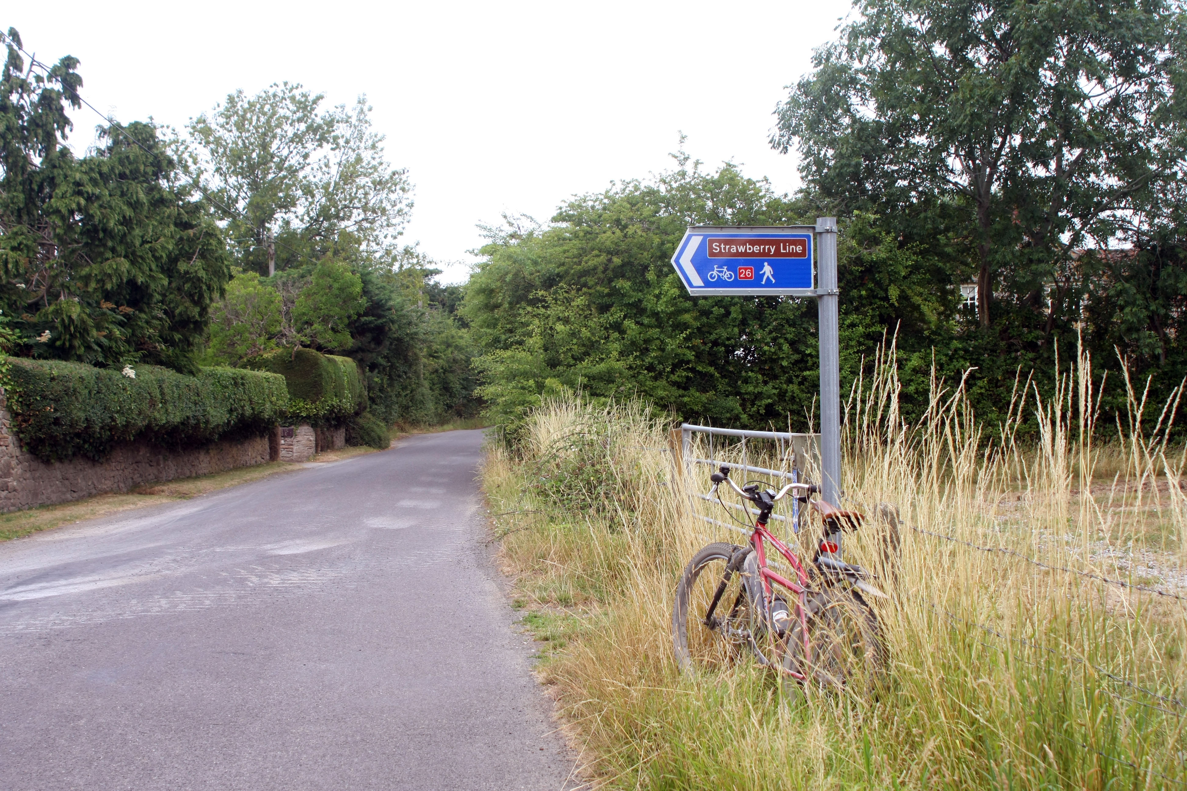Strawberry Line to extend to give Cheddar pupils a safer journey | News ...