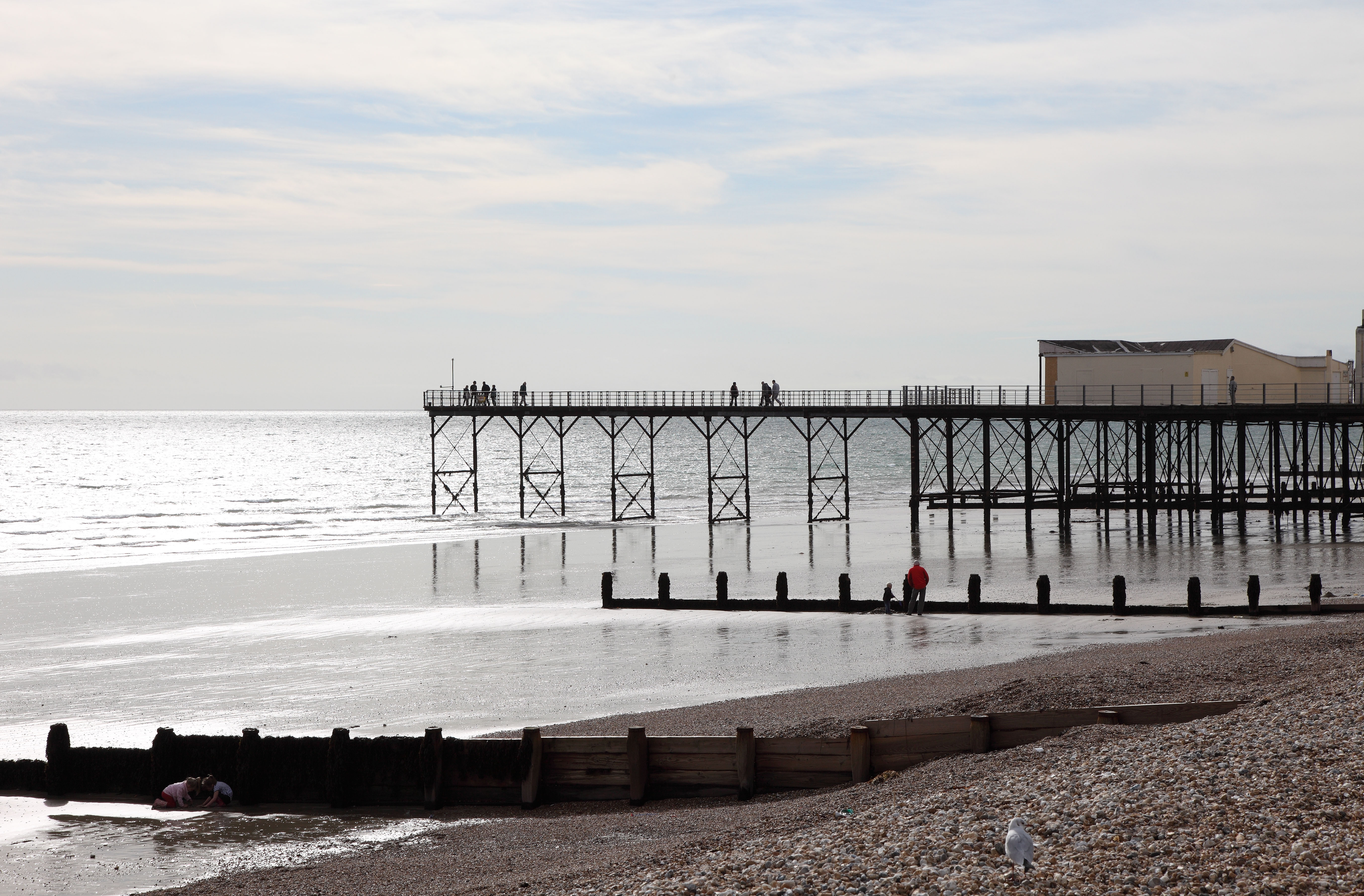 Man arrested on suspicion of murder following stabbing in Bognor Regis