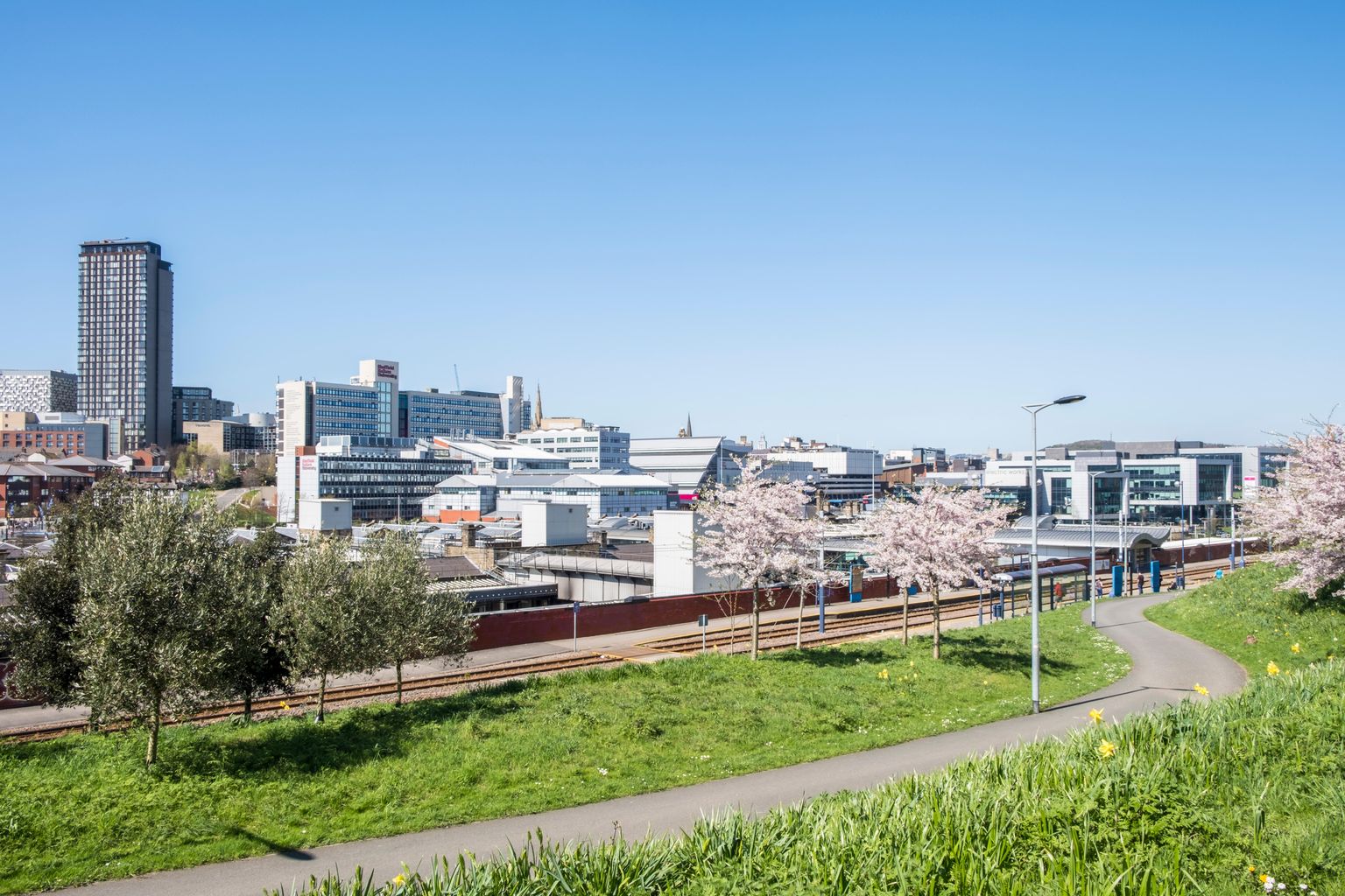 Skills strategy set to launch in Sheffield to help job seekers and ...