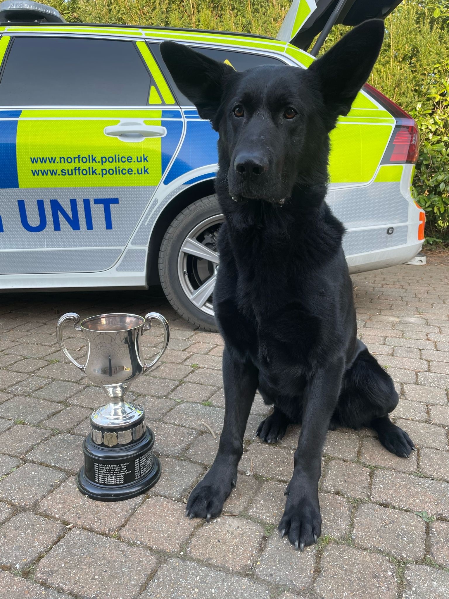 Norfolk and Suffolk police dog reaches finals of national competition
