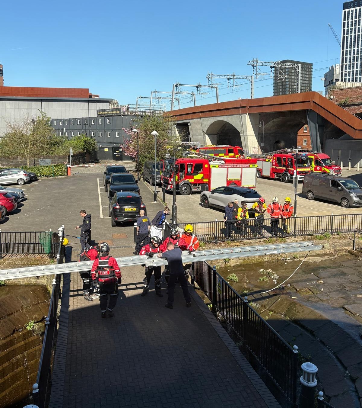 20 firefighters try to rescue a single goose in Manchester