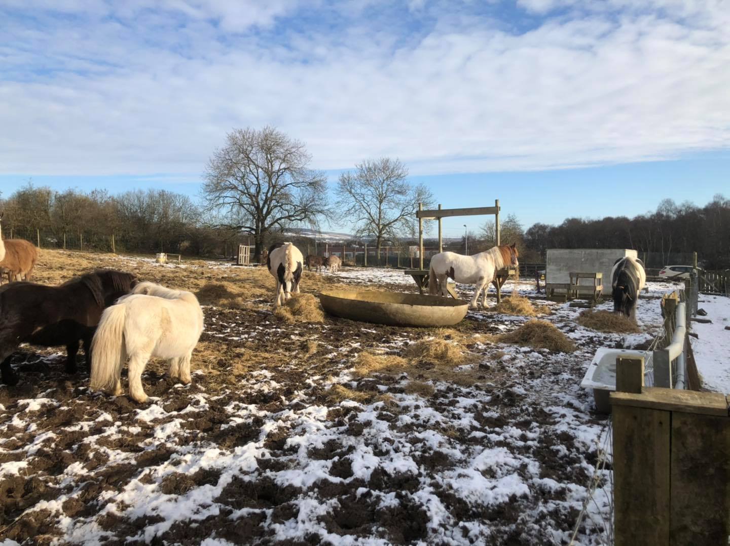 Lamont Farm makes fresh plea to community amid ongoing financial struggles