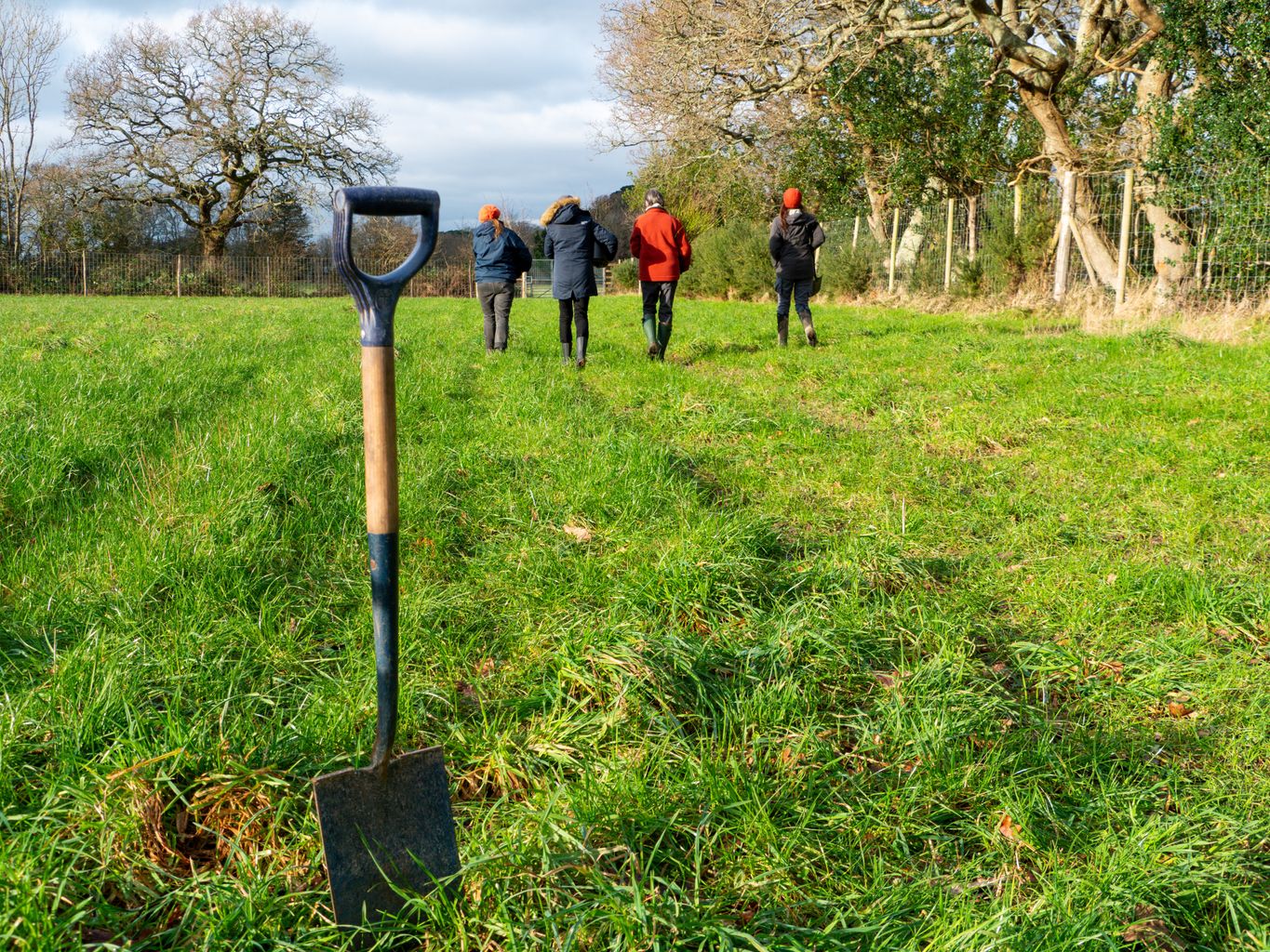 Campaign launched to plant vital trees across Dorset