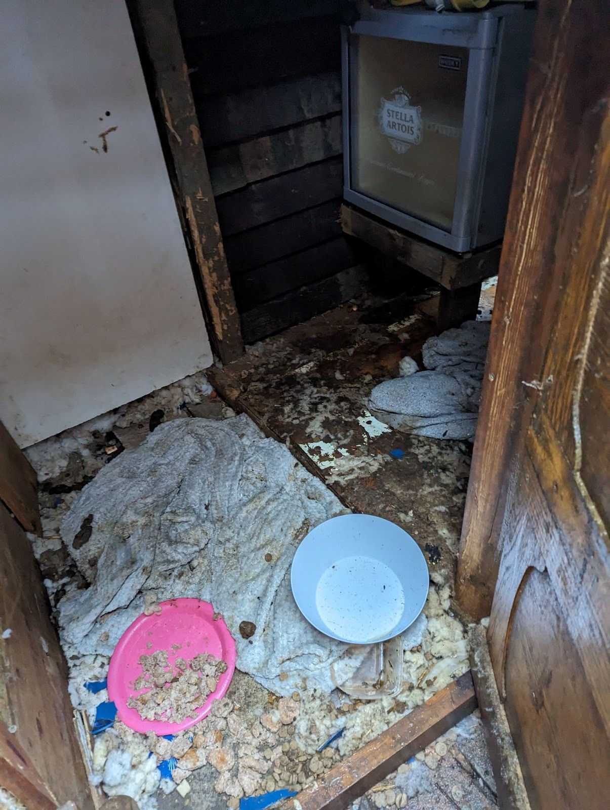 RSPCA-Couple-Sentenced-Death-Dog