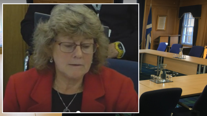 Live Borders stand-in boss reveals staff left 'demoralised' by plans ...