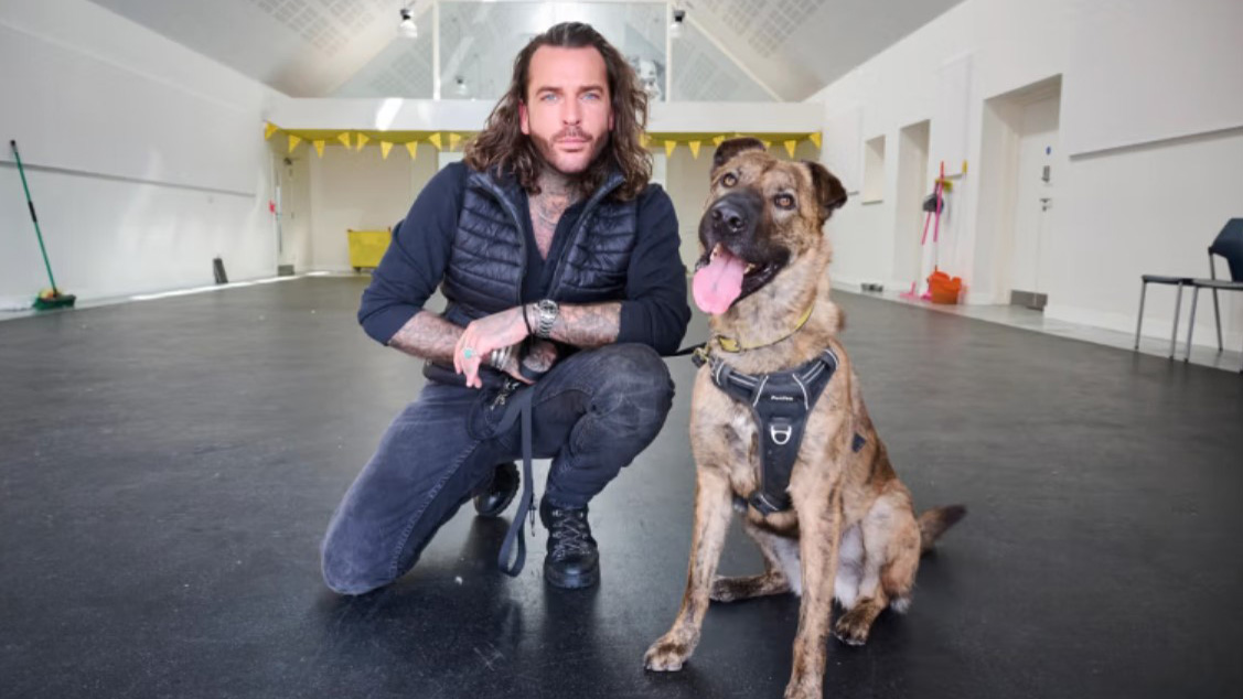 Pete Wicks' For Dogs' Sake renewed for two more series