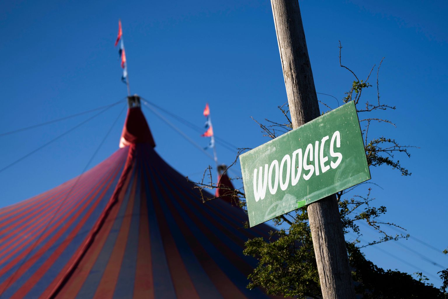 'This is so awesome!': Glasto Emerging Talent winners announced