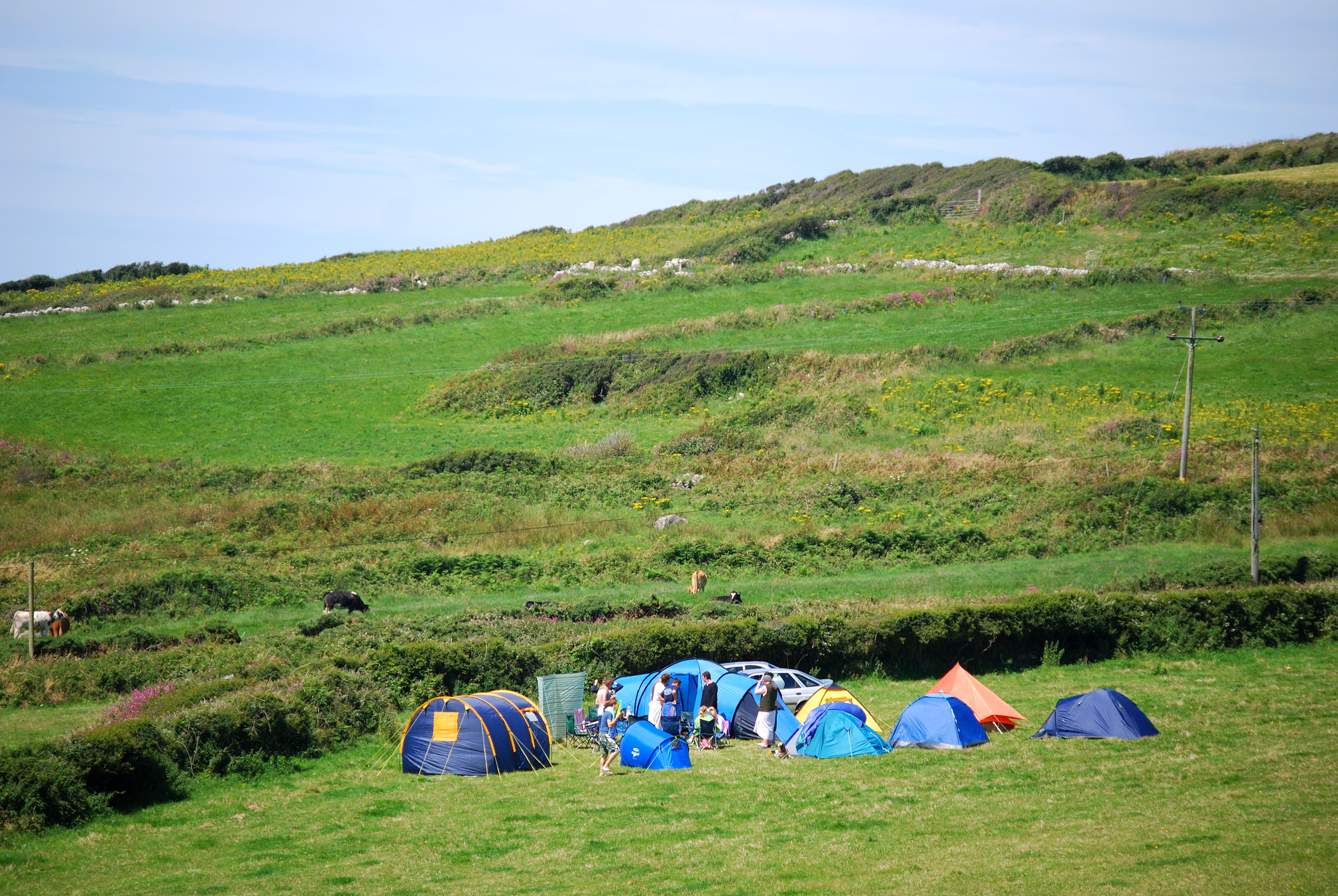 Scouts in Wales call for rethink on Visitor Levy Bill