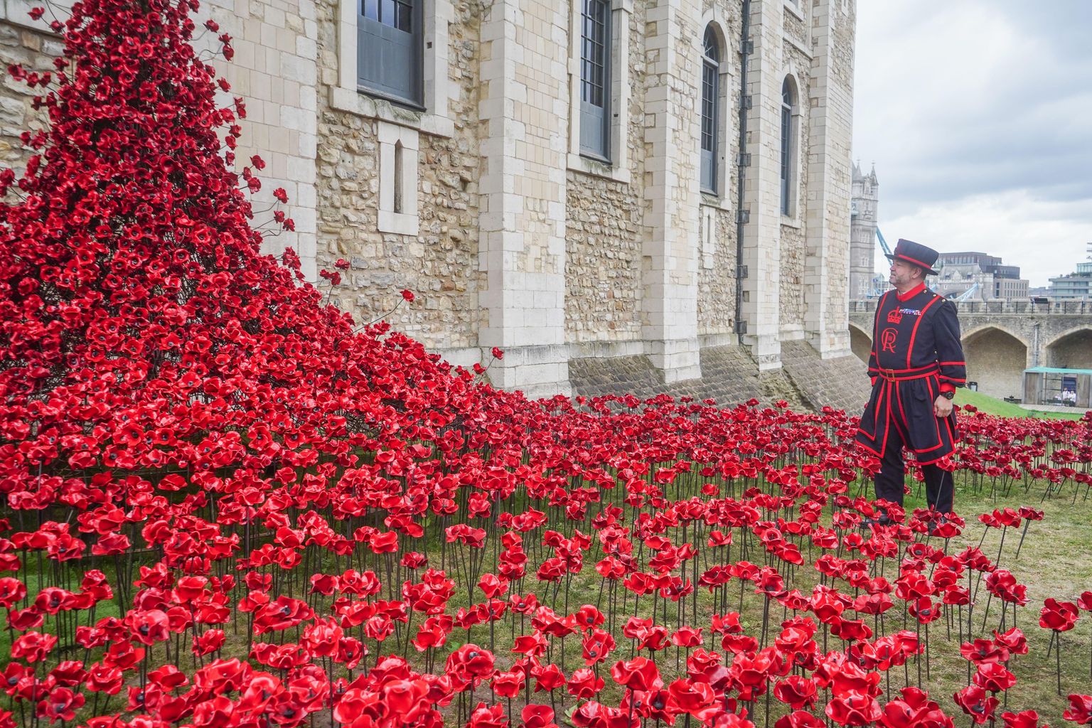 Thousands of ceramic poppies return to Tower of London