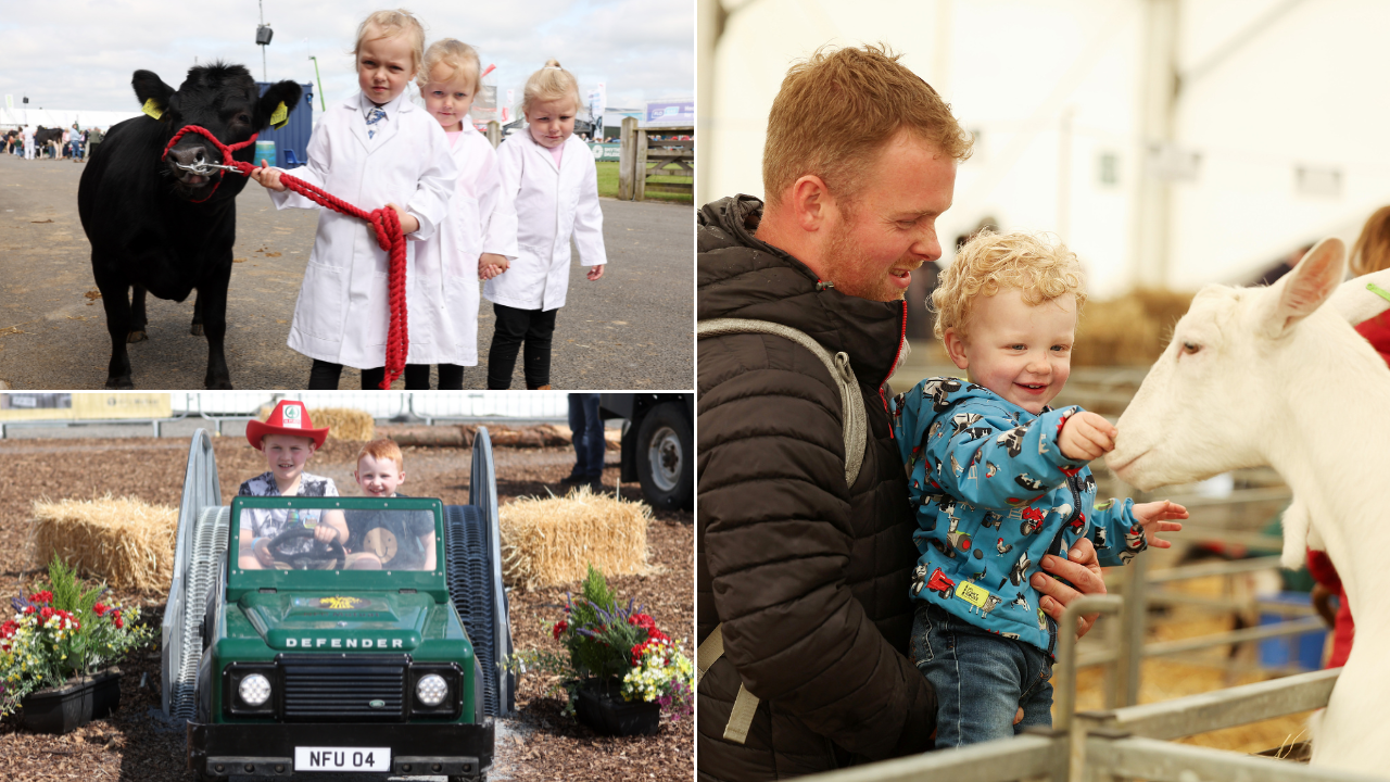 Balmoral Show 2025: Everything you need to know before you go