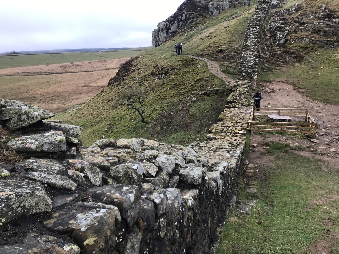 Sycamore Gap pair cut down tree for "a laugh"