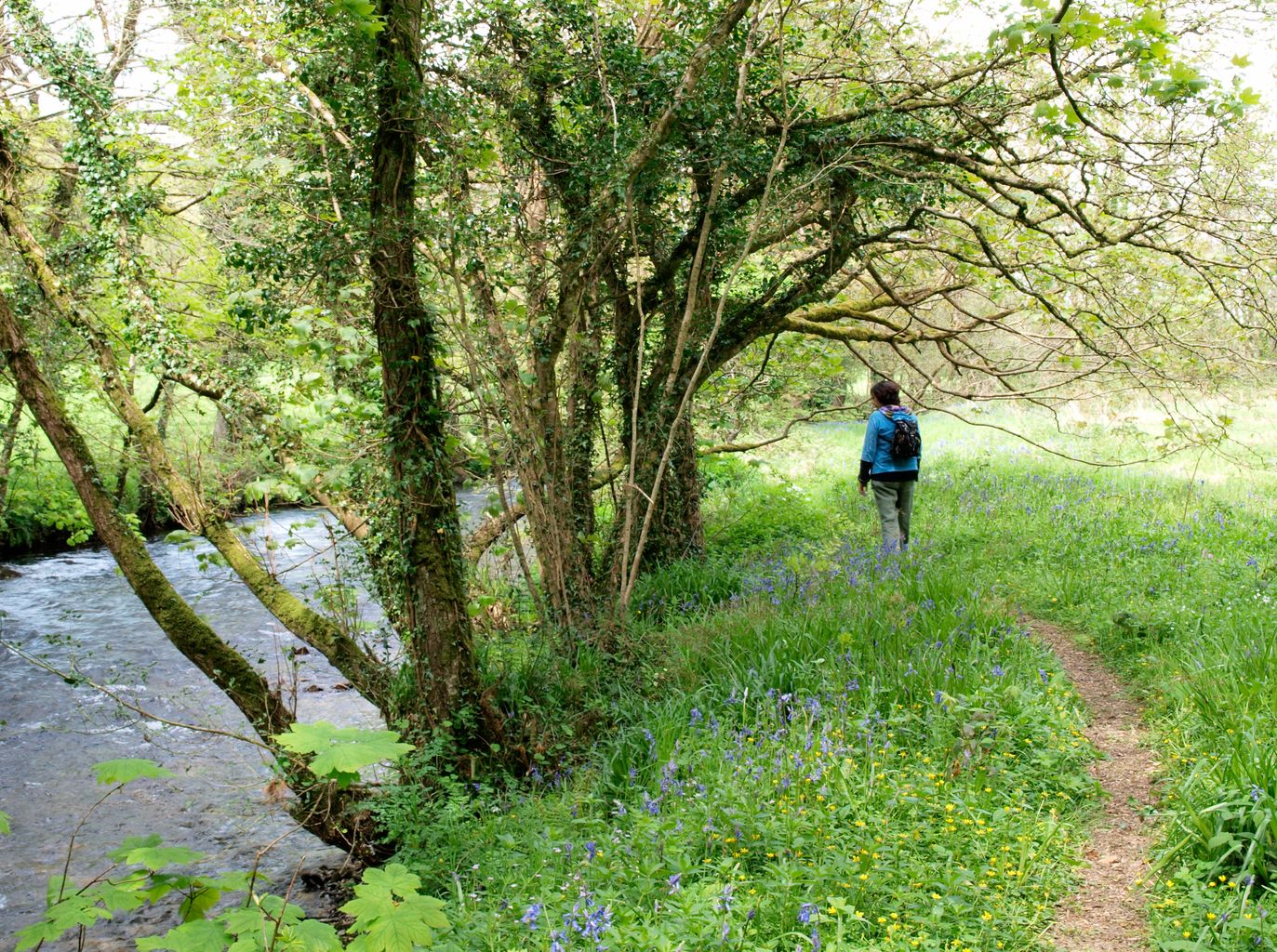 Council environment team 'struggling' to maintain walkways