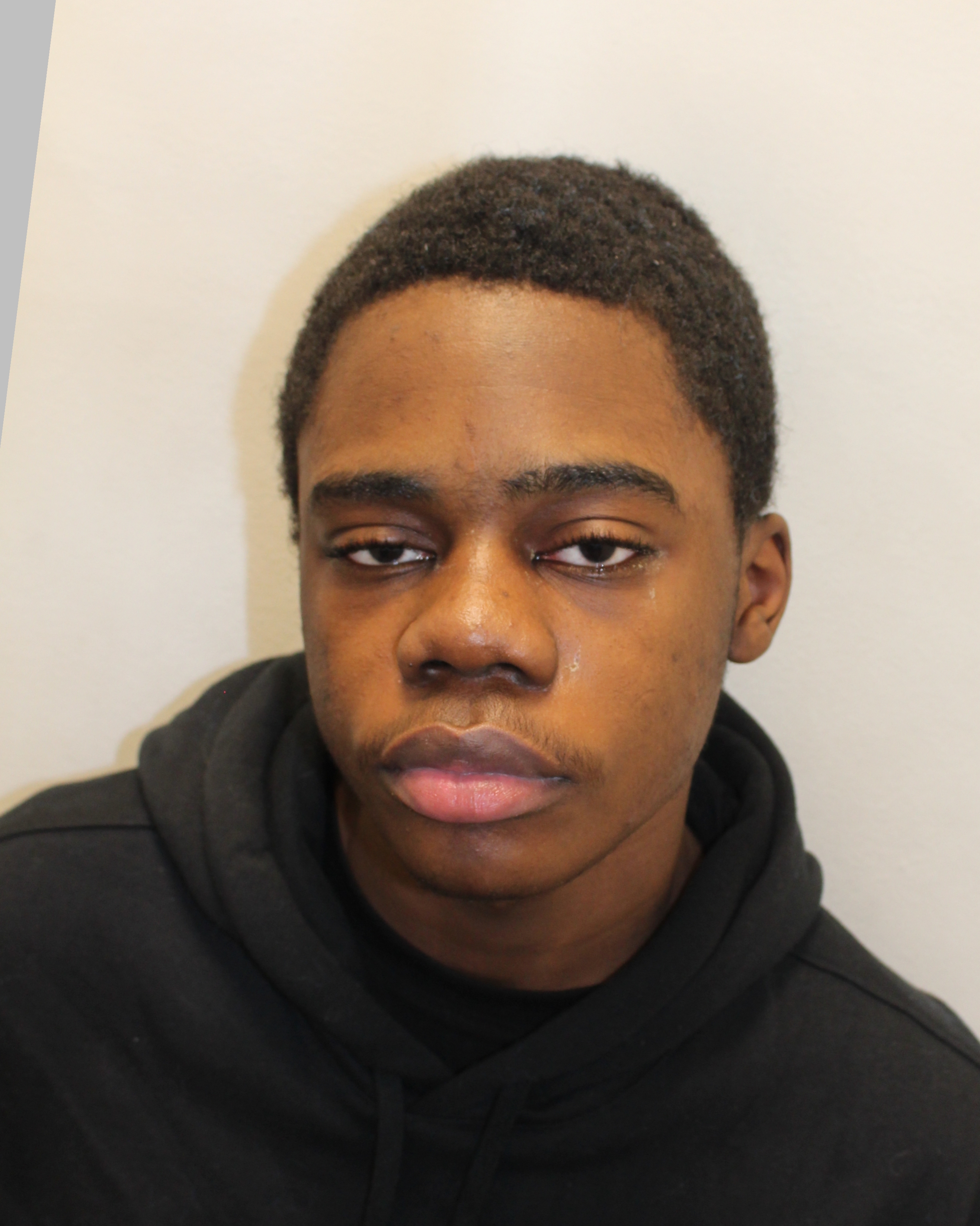 Teen sentenced to life for killing a man in north London