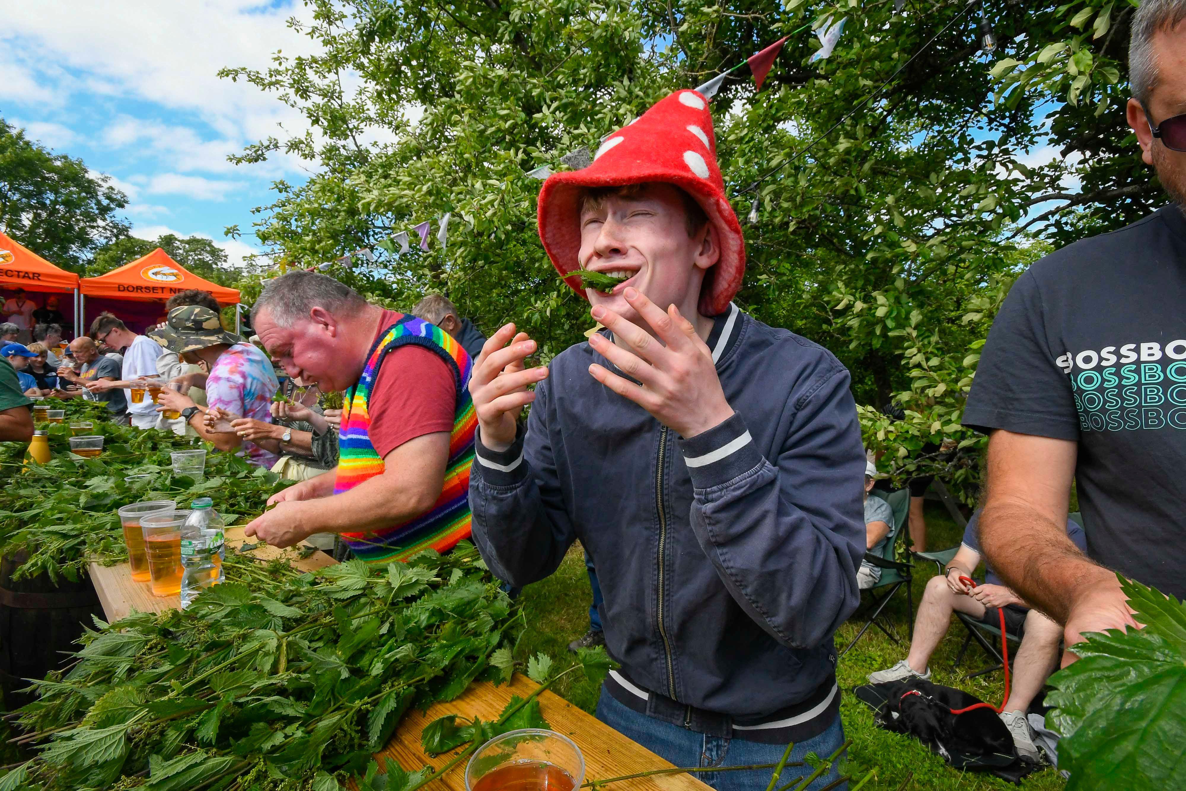 World Nettle Eating Championship confirmed for Dorset town next month