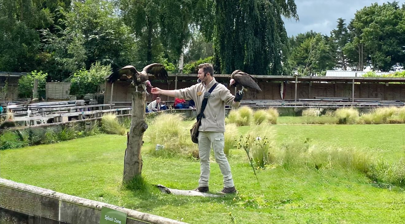 Hawk Conservancy at Andover receives cash boost