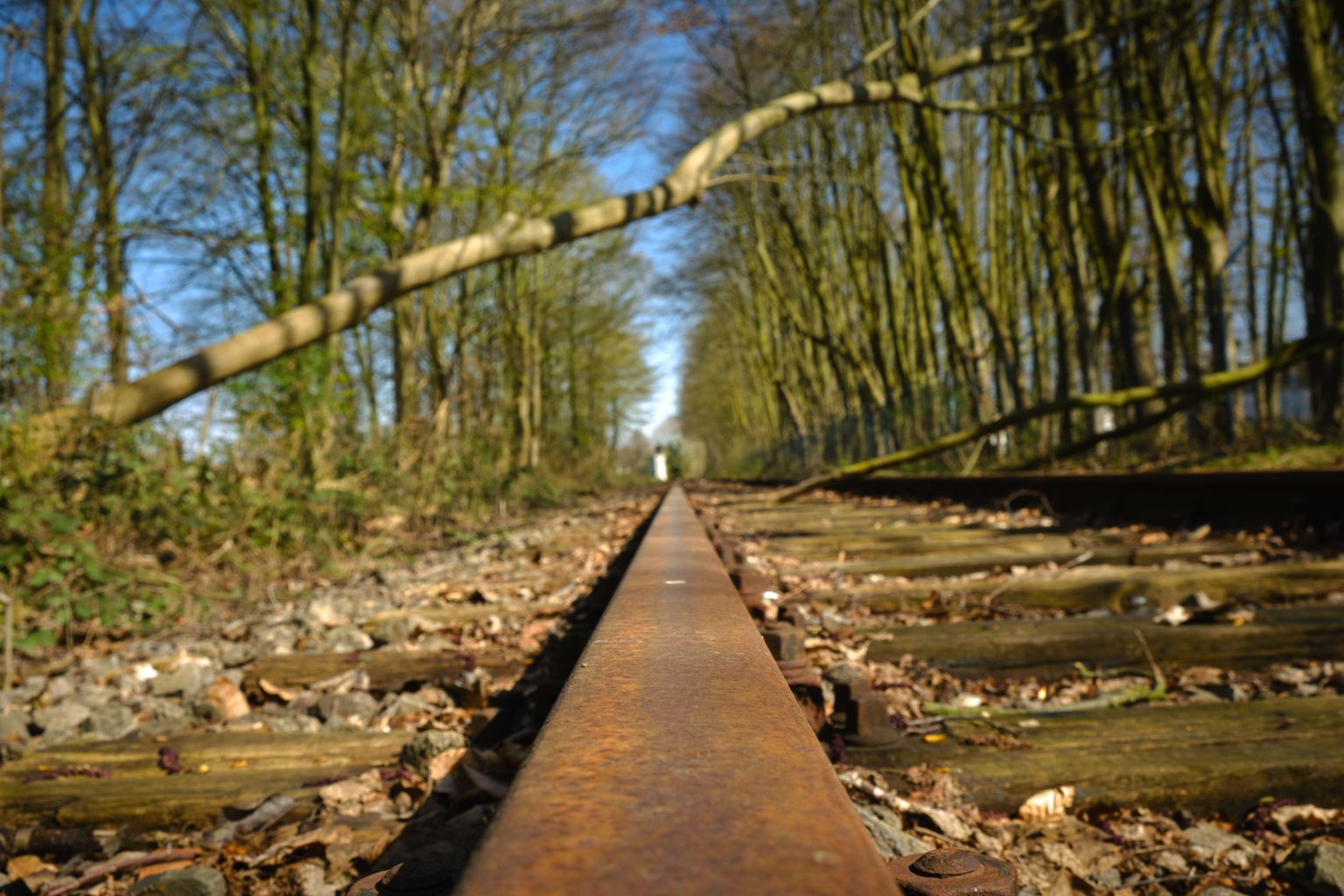 Tree falls on Railway in Yorkshire | News - Greatest Hits Radio (York ...