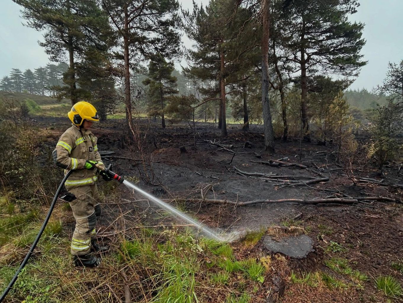 Fire crews called to Wareham Forest in 'busy day' of incidents