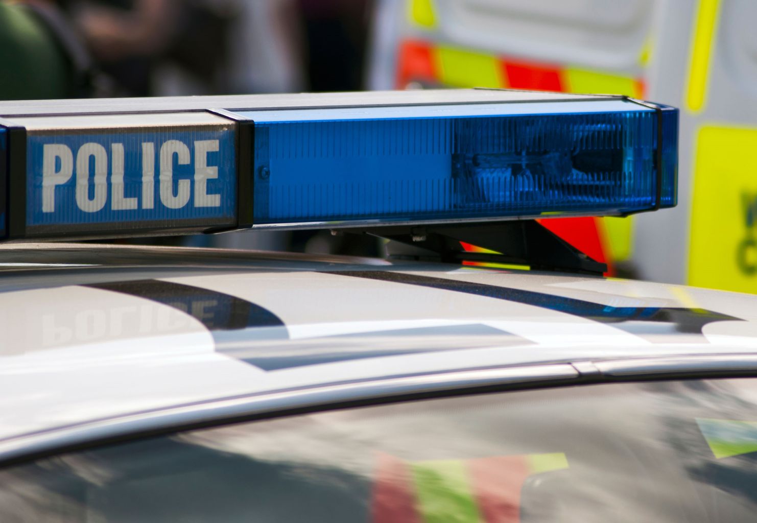 Police investigate incident involving dog near Perham Down