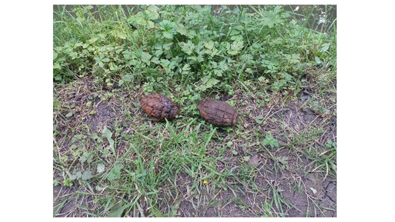 Appeal after man fishing in Hopwood finds suspected hand grenades