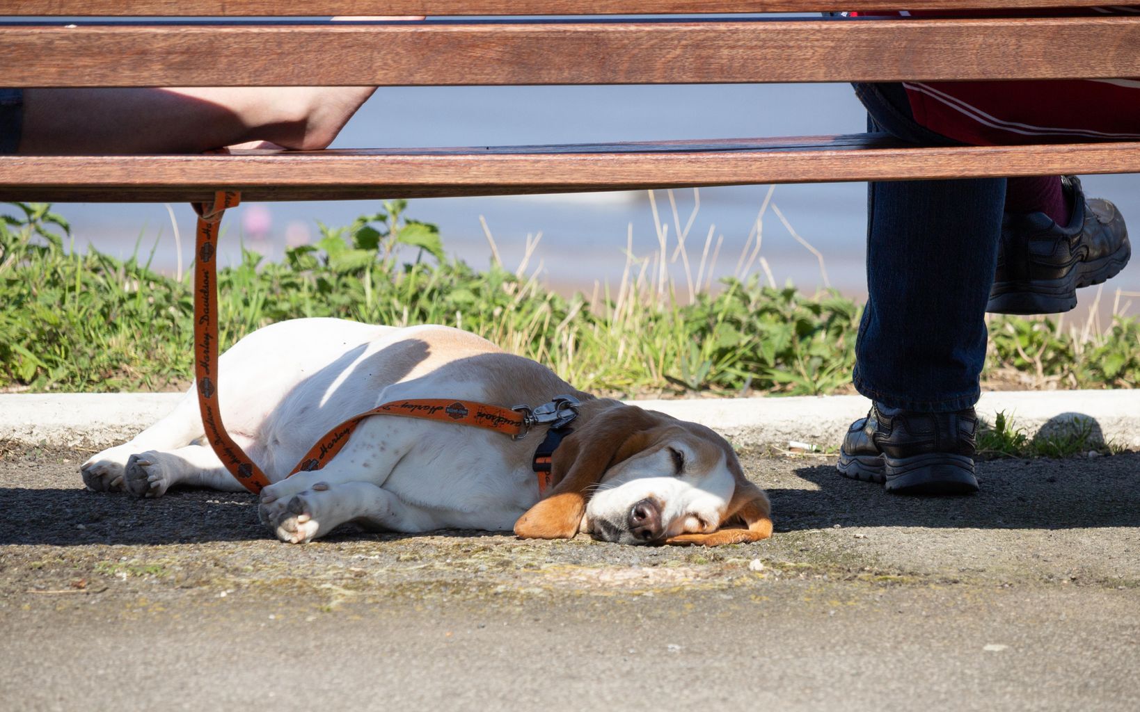 South West and Midlands to swelter under continued hot weather