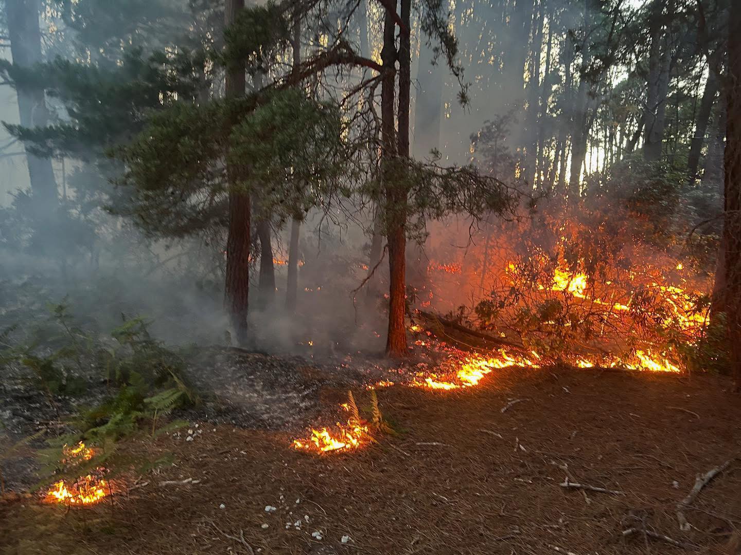 9 fire crews still battling fire at Holton Heath