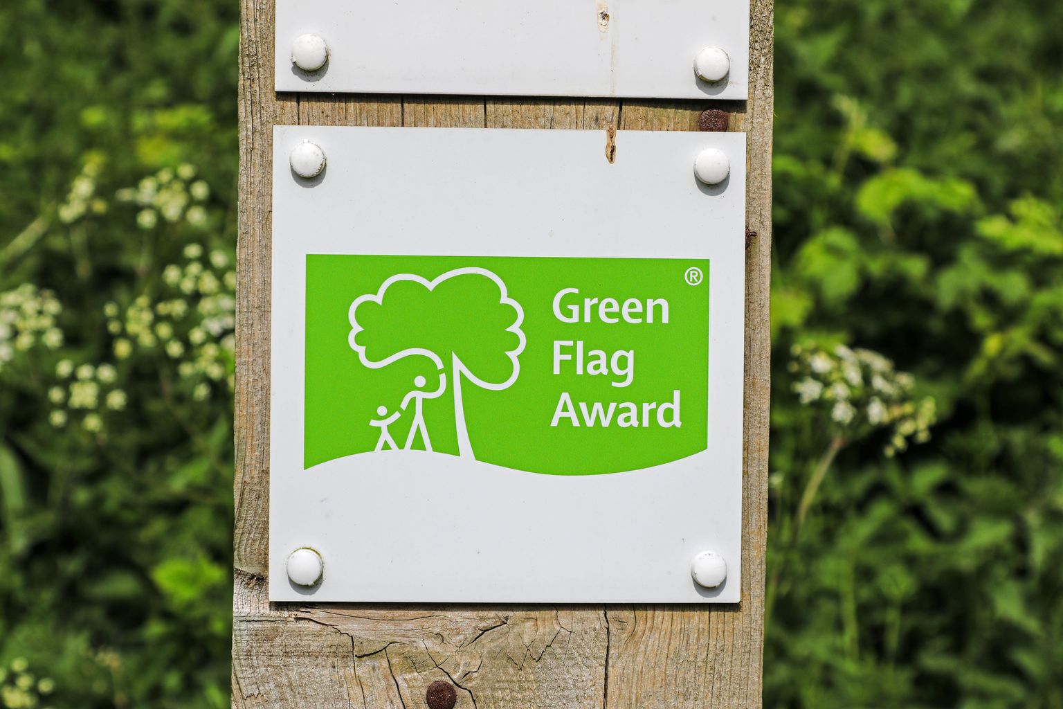 Redditch's Overdale Park among list of Green Flag award winners