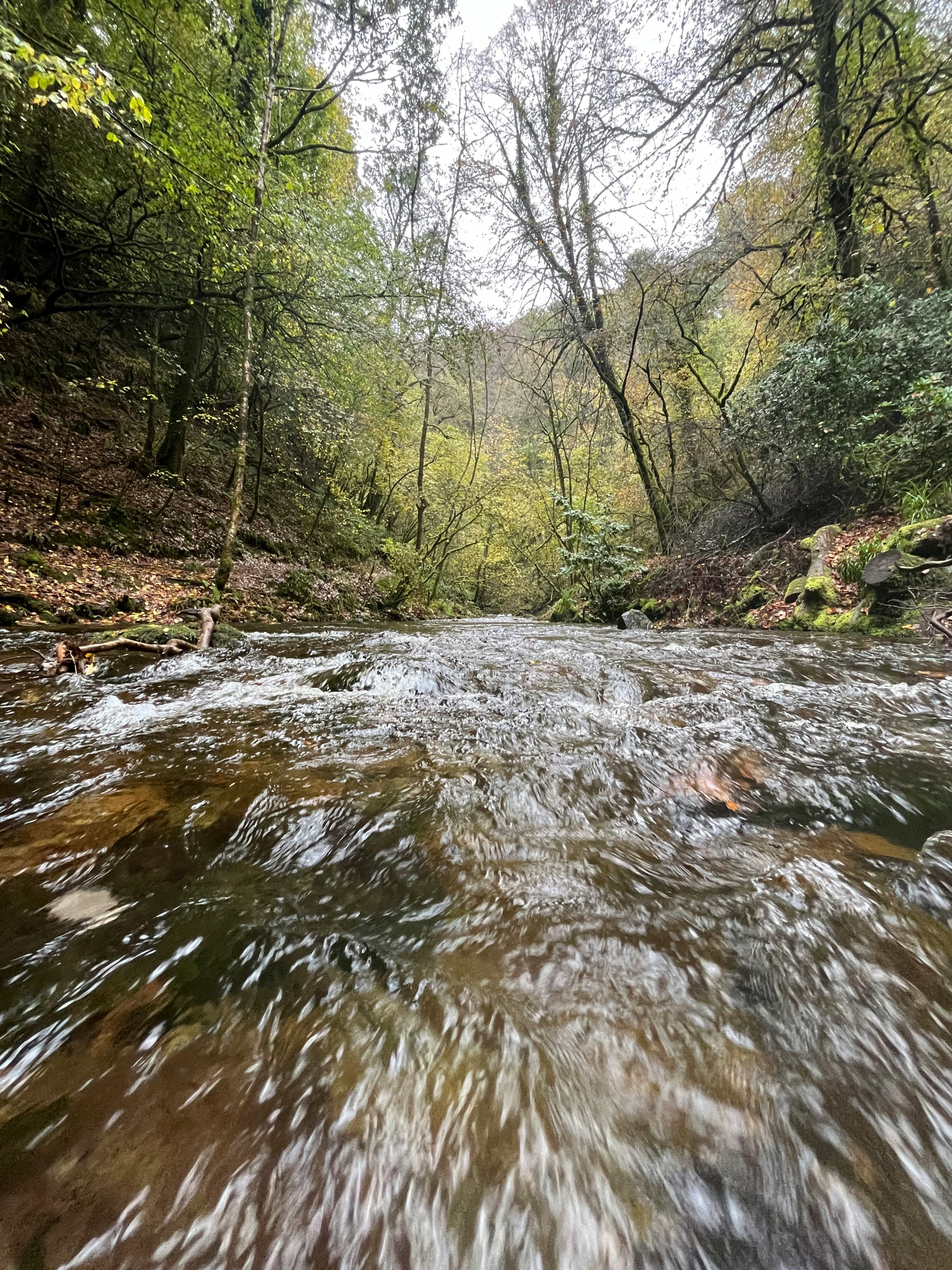 'Growing concern' over river levels in the West Midlands caused drought