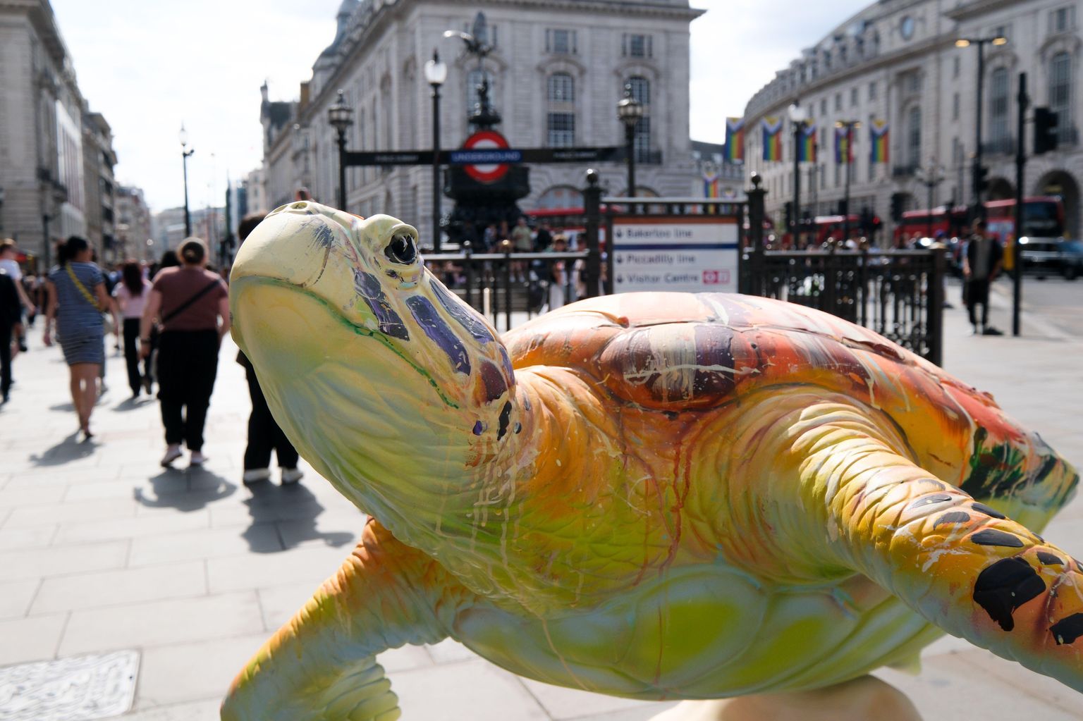 Turtles on display in the Capital | News - Hits Radio (London)