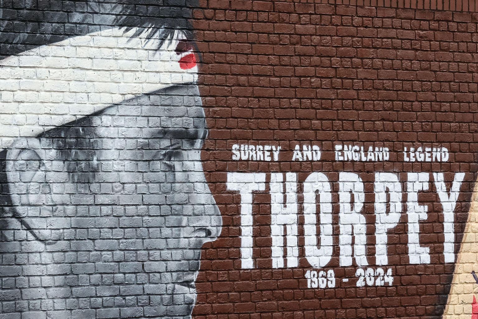 Cricketer Graham Thorpe 'spiralled into depression' after job loss ...