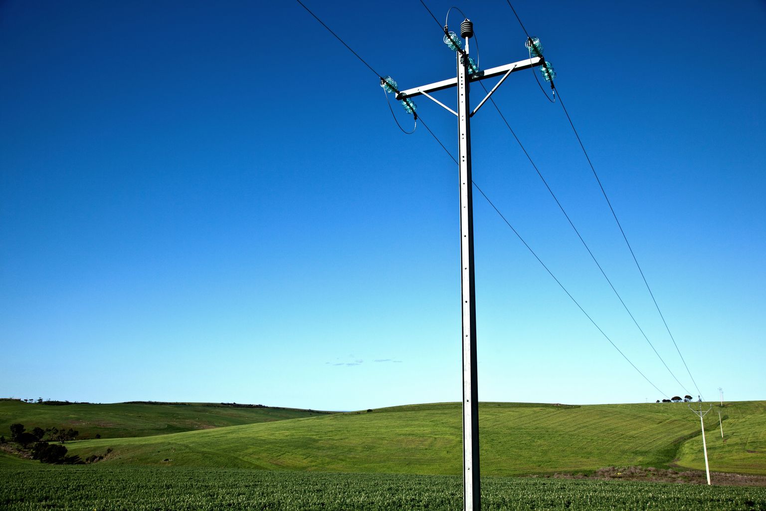 Power company ‘tripling capacity’ of overhead lines to ‘reinforce ...