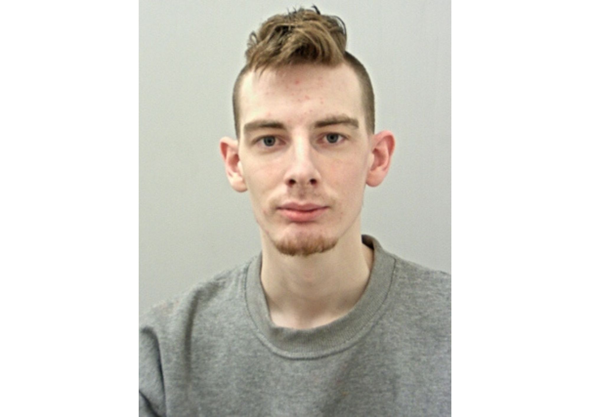 Sex offender has been sentenced to 26 years in prison | News - Greatest ...