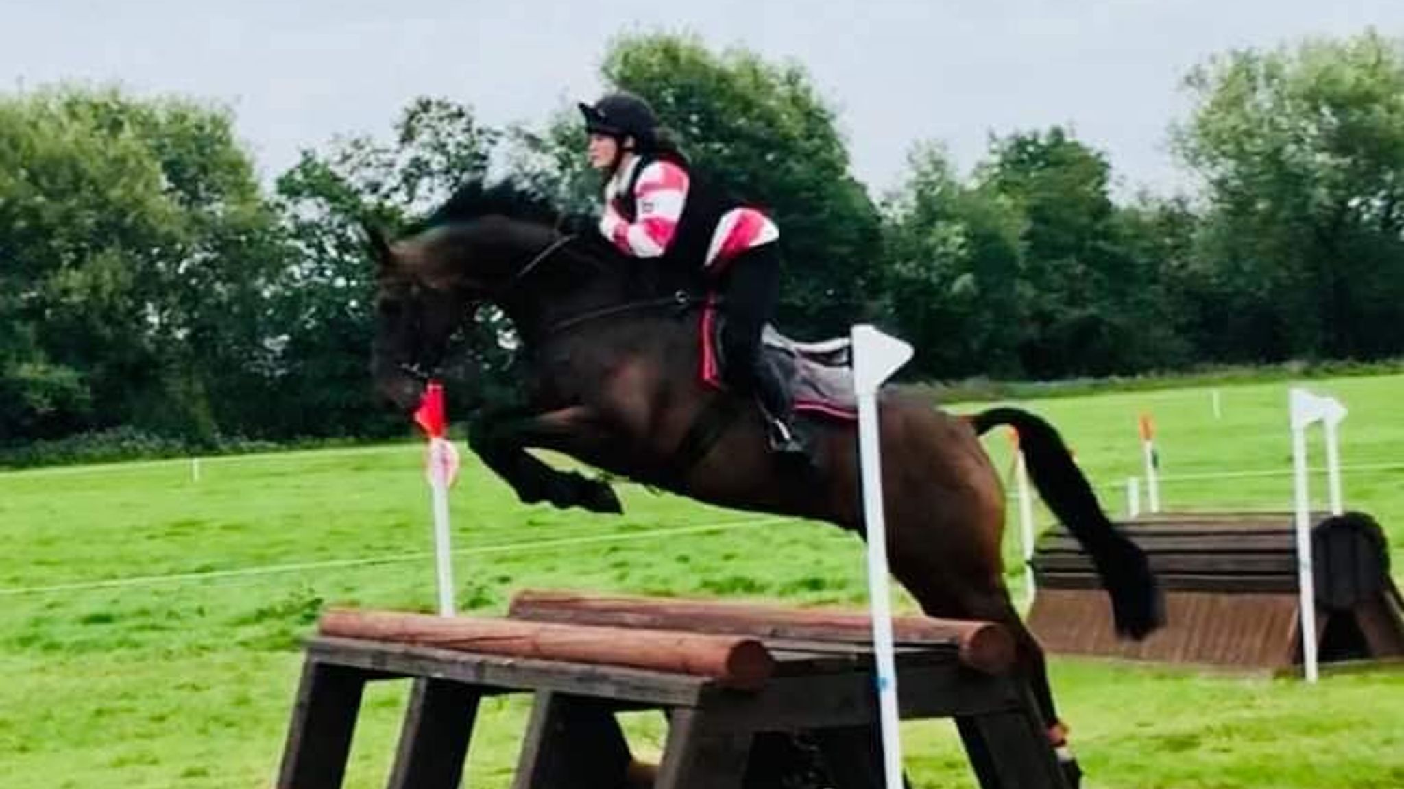 Horse rider dies after falling during a major competition | News ...