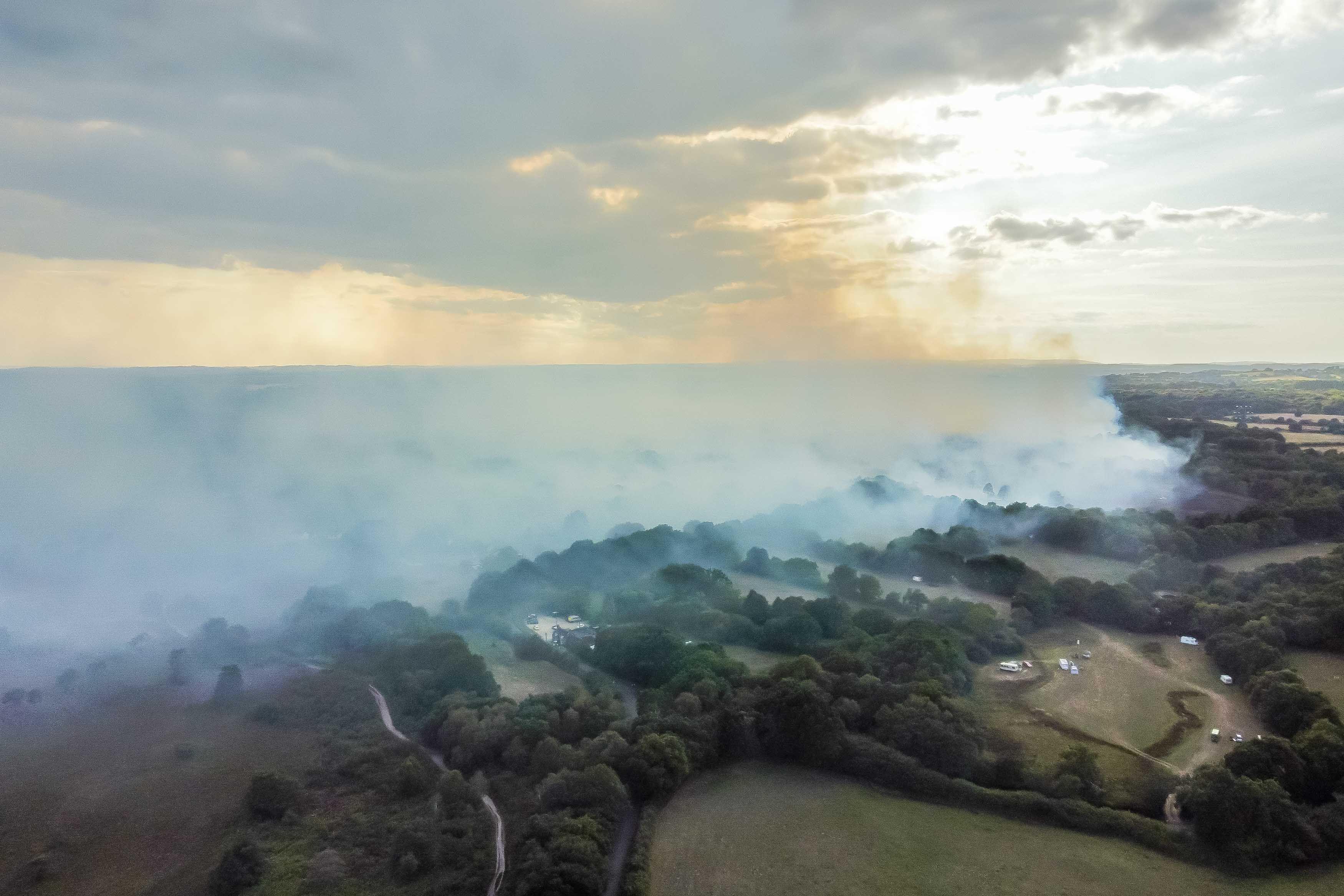 Investigators assessing whether Holt Heath wildfire is suspicious