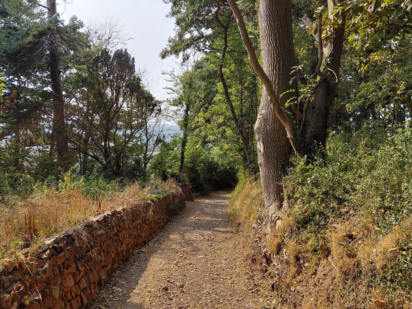Exmoor Plan to Boost Walking & Cycling Routes