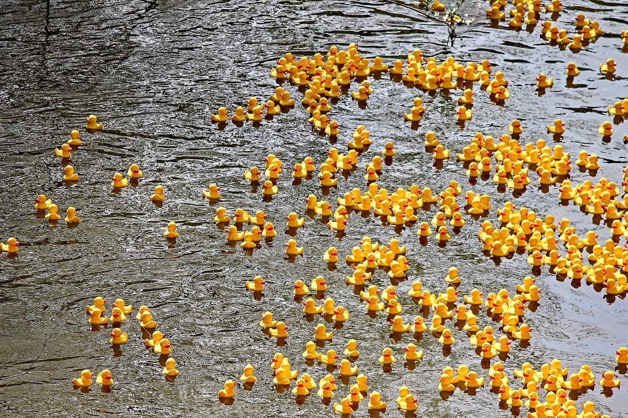 Annual Hereford duck race set to take place