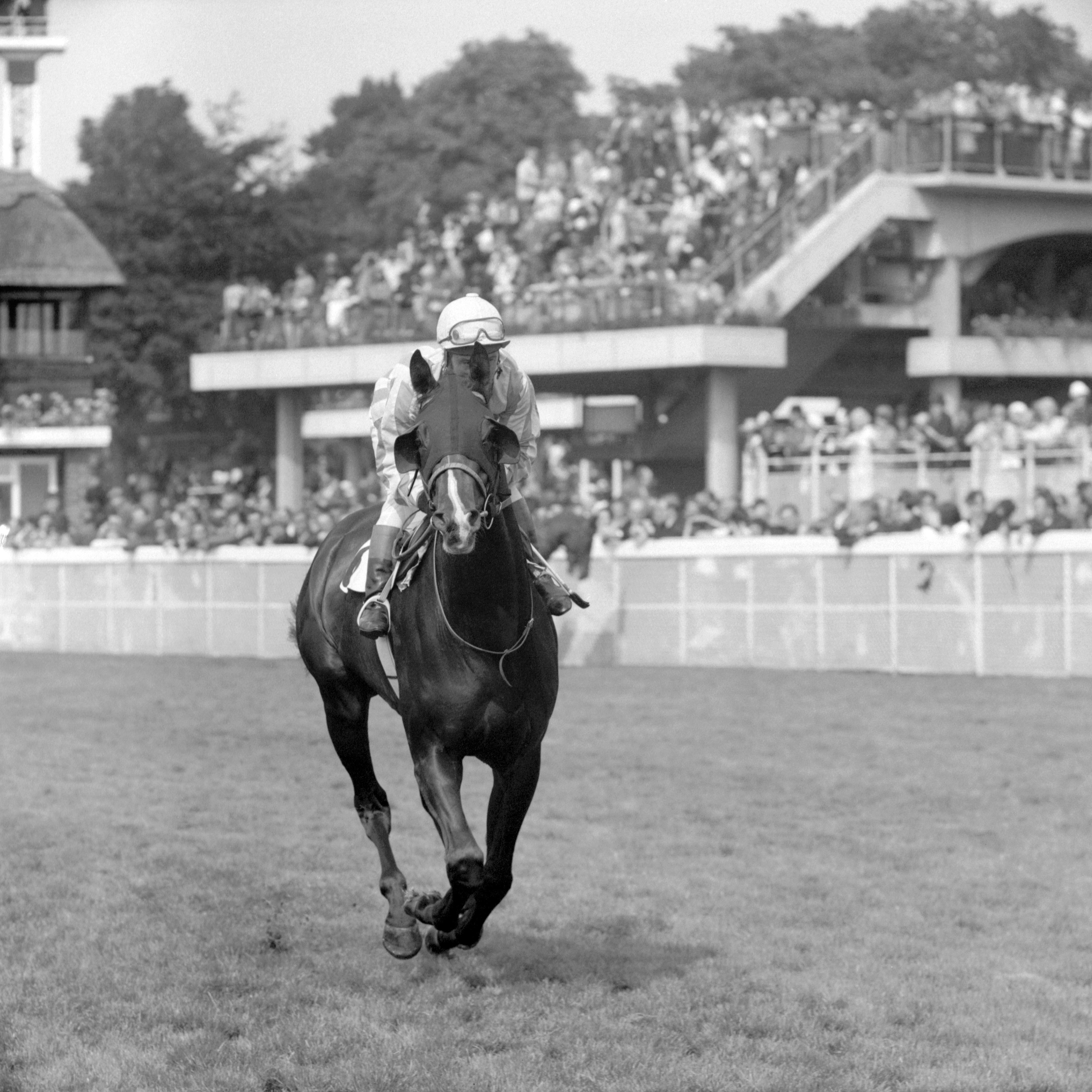 Welsh horse racing legend and Derby winner Geoff Lewis dies aged 89