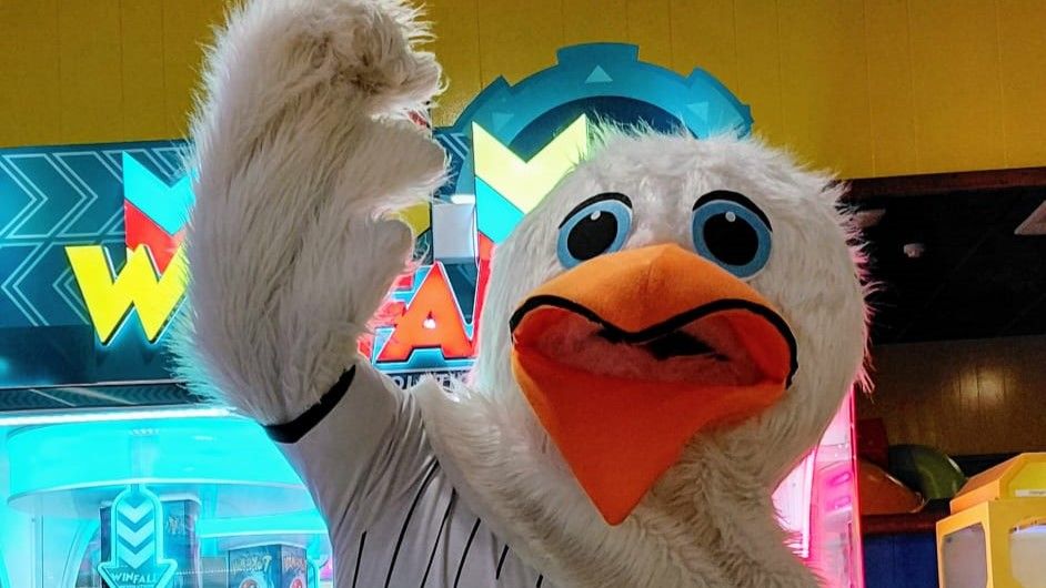 Weston-super-Mare Hosts First Seagull Screeching Championship