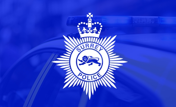 Four ducks killed in suspected catapult attack in Chobham