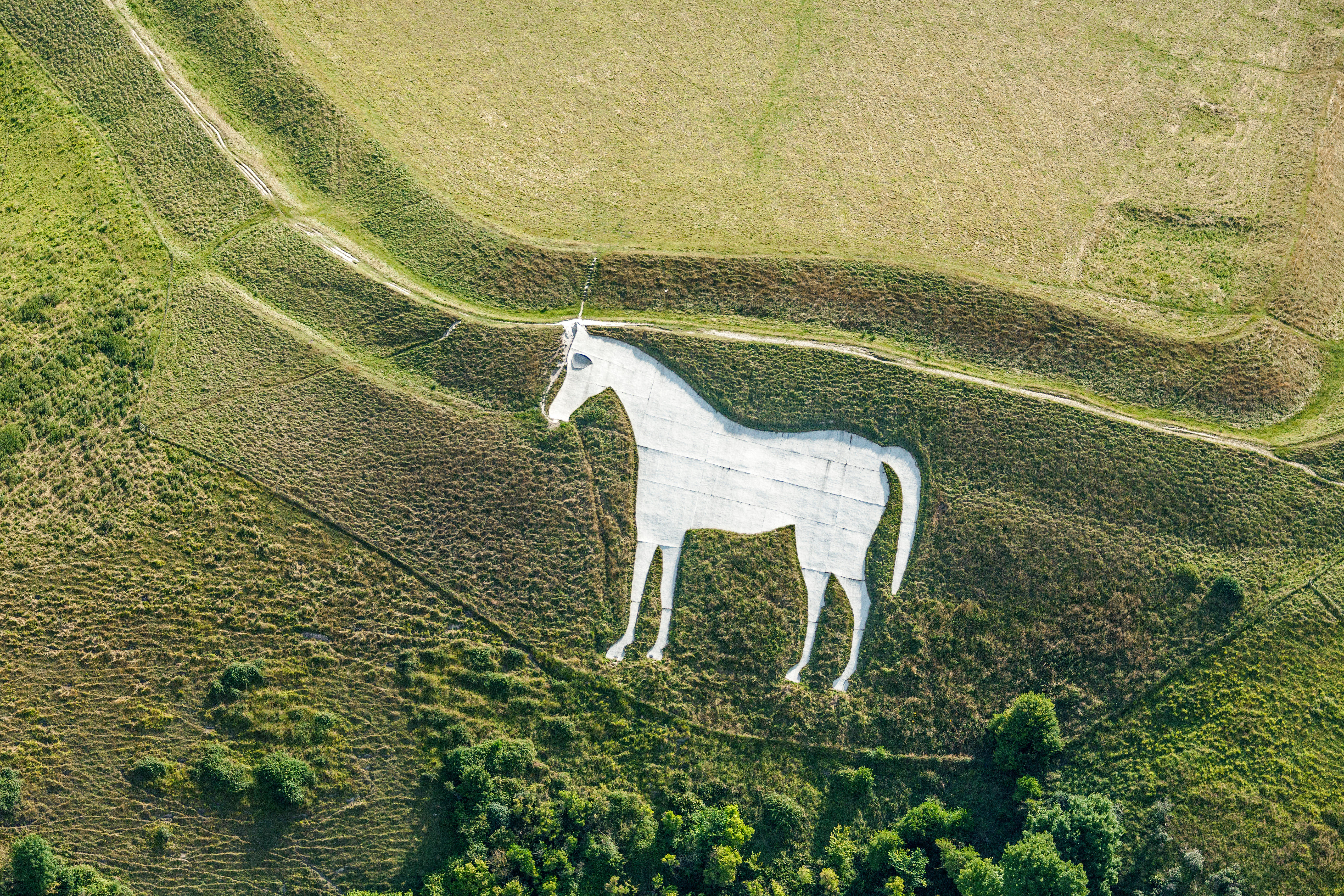 White Horse landmark to be examined for damage after red cross pinned ...