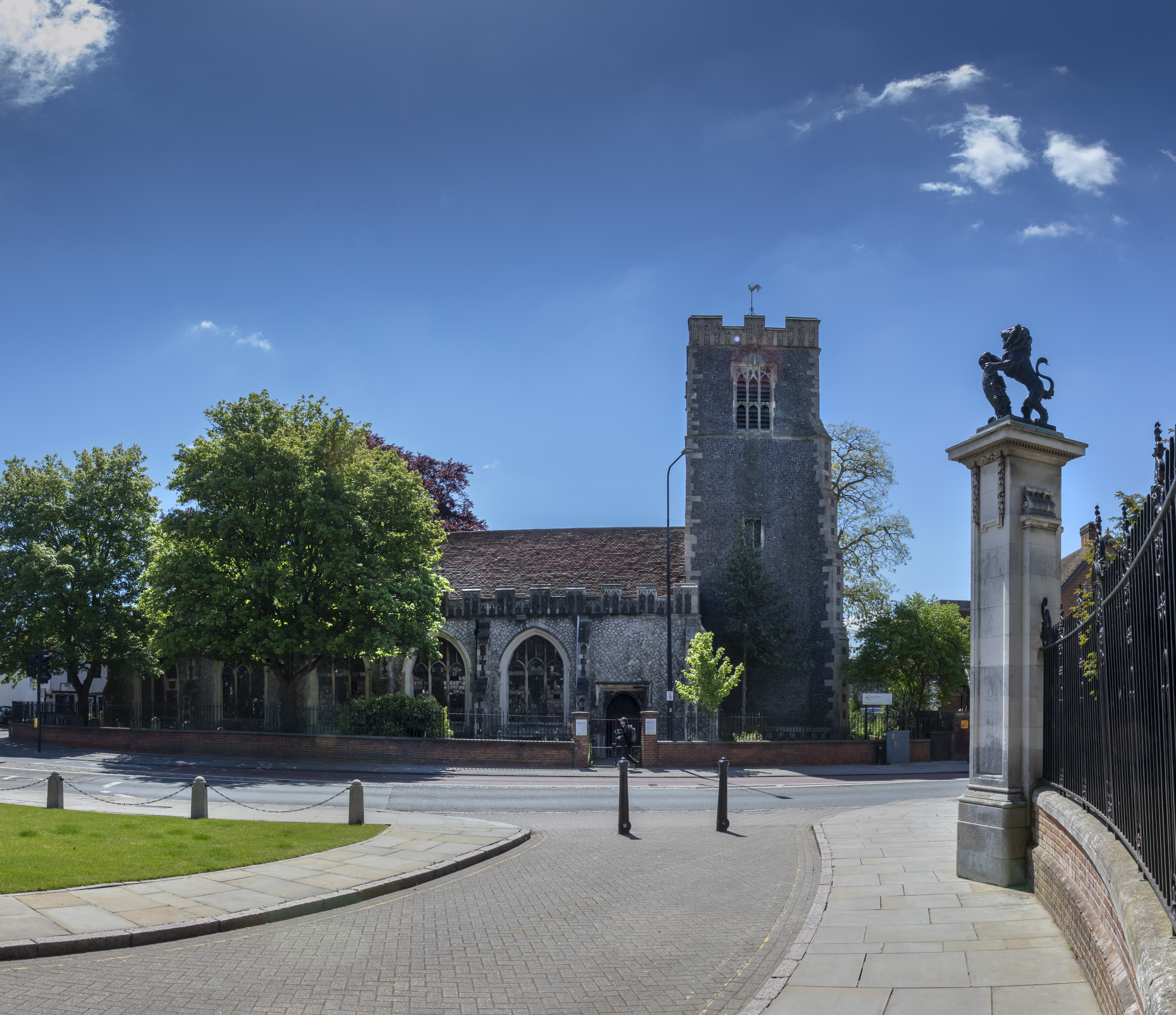 Natural History Museum in Colchester reopens after year-long closure ...